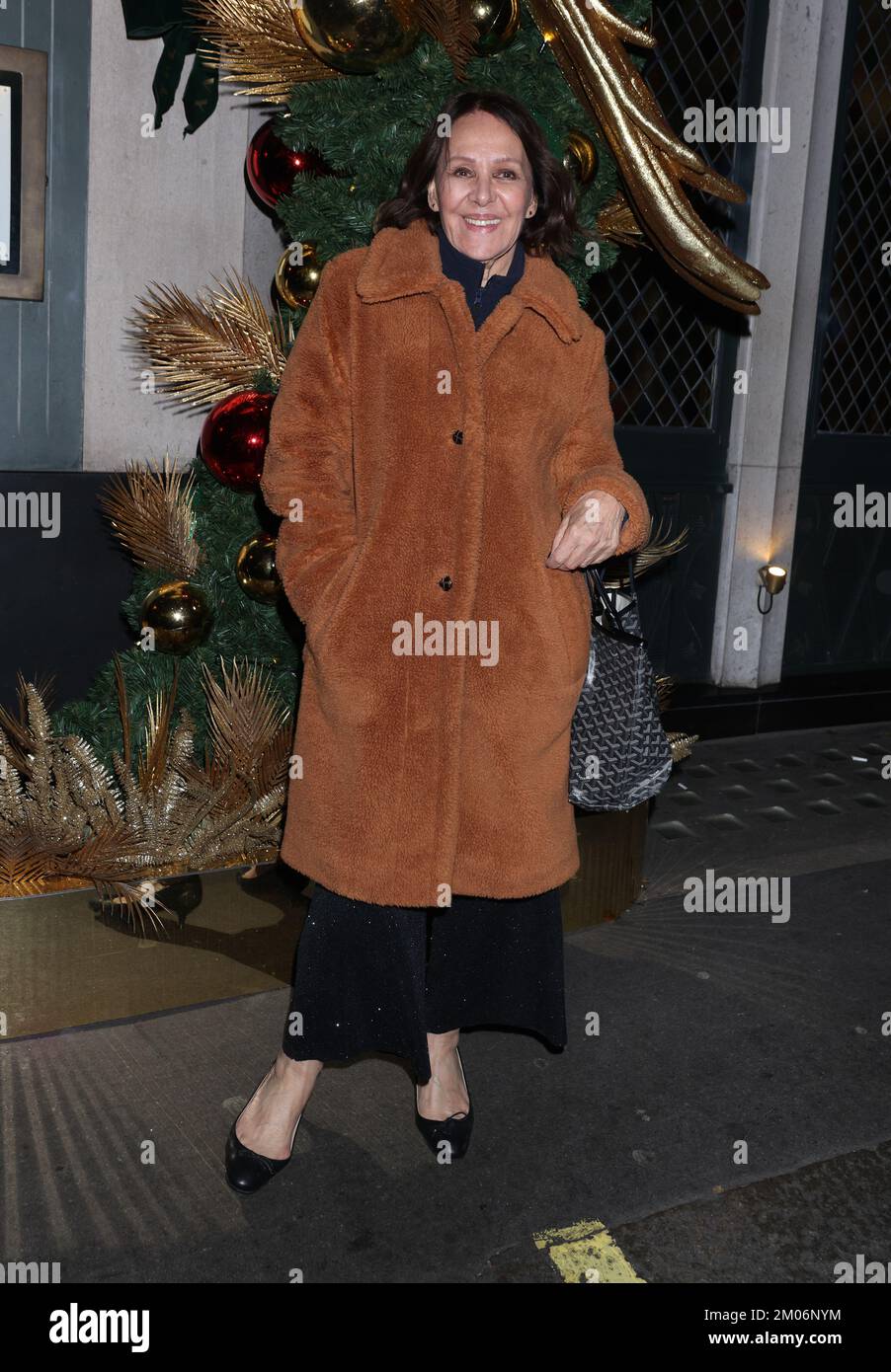 Dame Arlene Phillips attends the One Night Only fundraiser in aid of ...