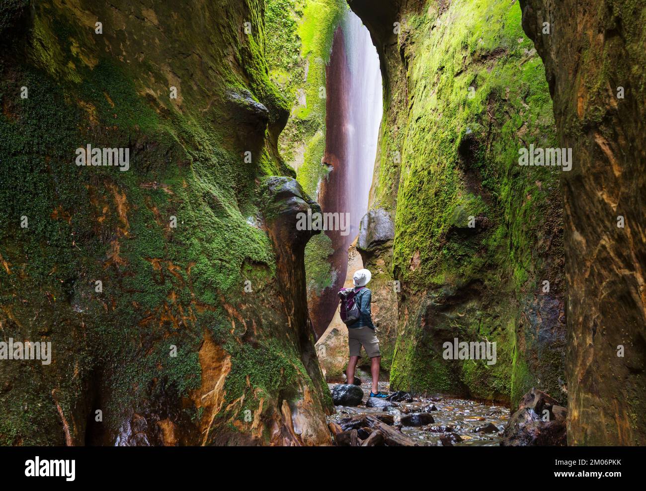 Hidden waterfall vancouver island hi-res stock photography and images ...