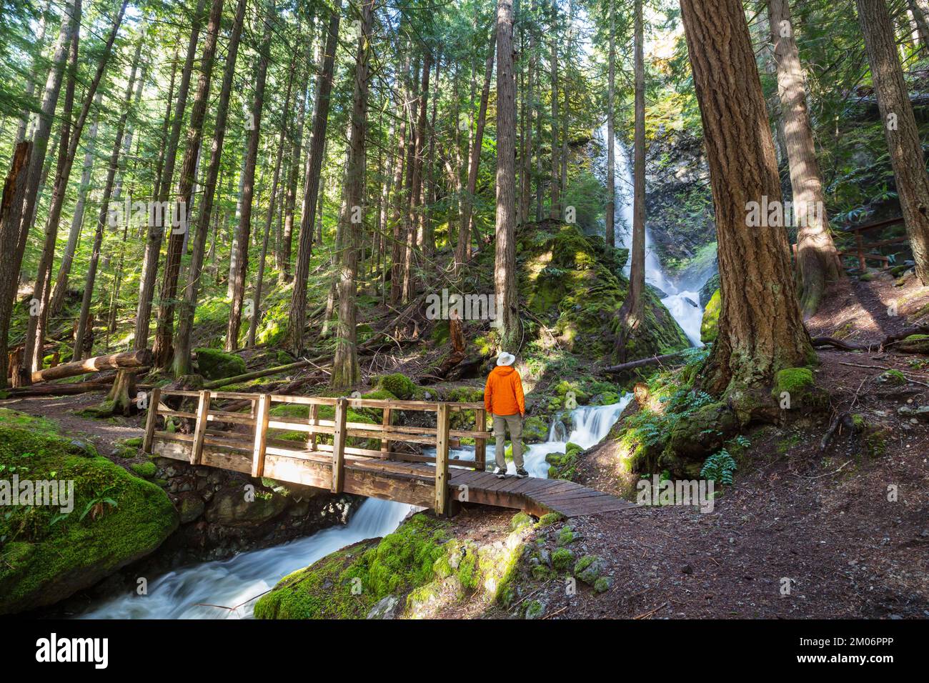 Hiker near beautiful waterfall in Canadian mountains Stock Photo - Alamy