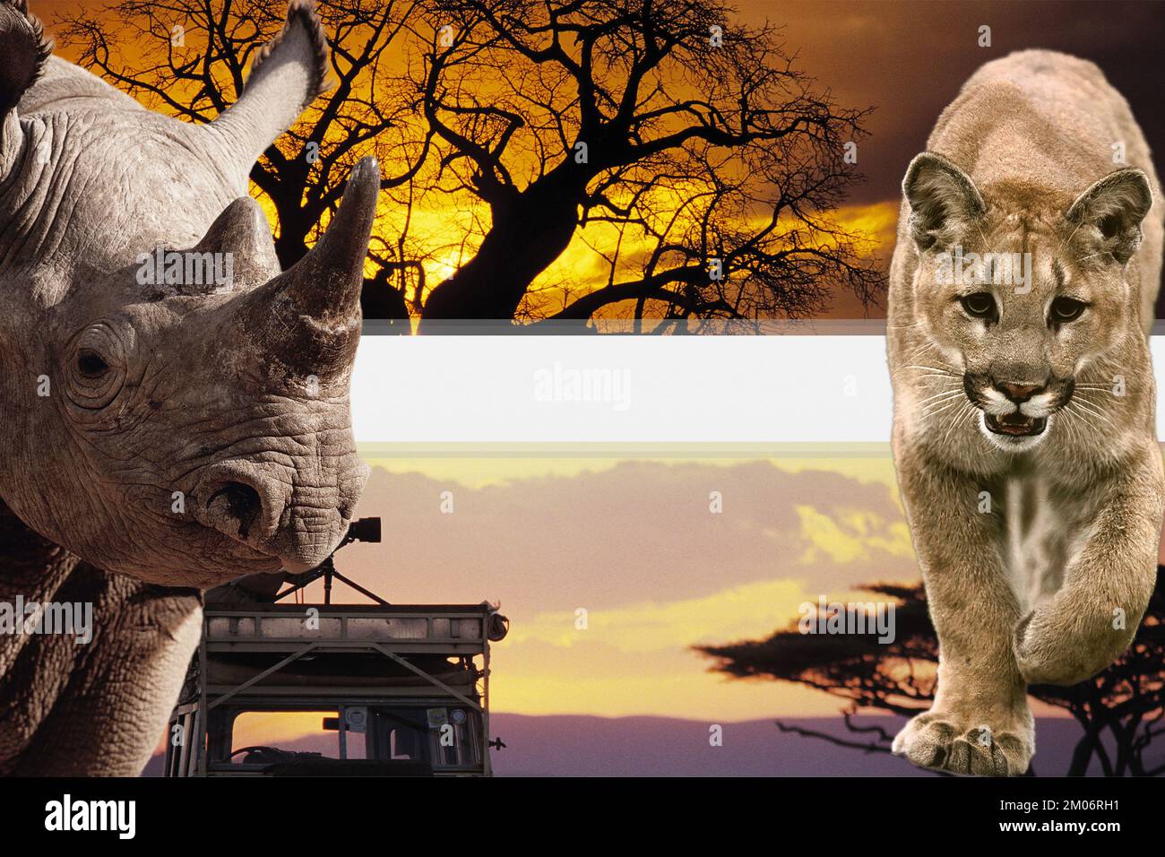 African animals (Safari Stock Photo - Alamy