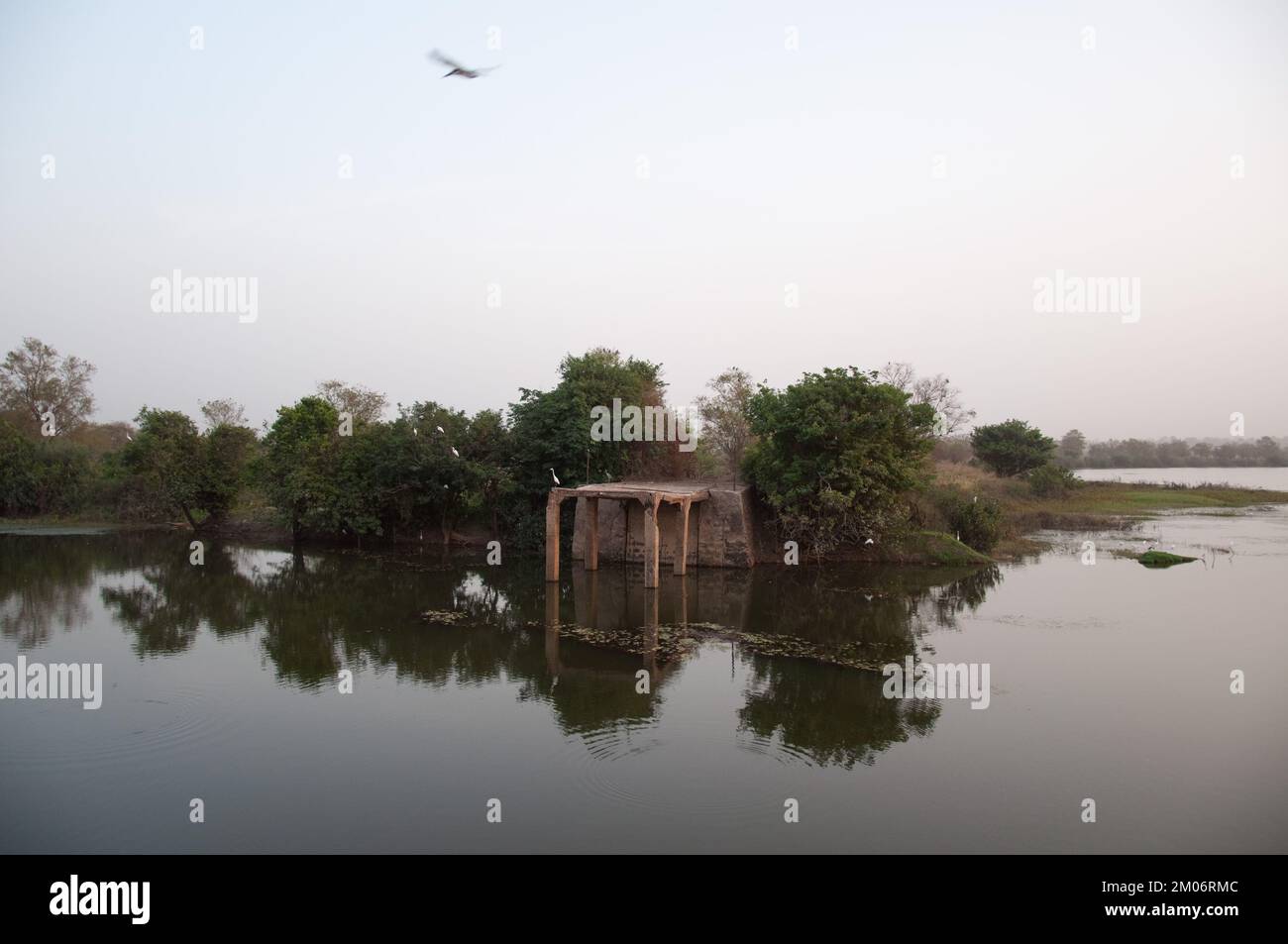 River Geba, Bafata, Bafata Region, Guinea Bissau. Large river, very ...