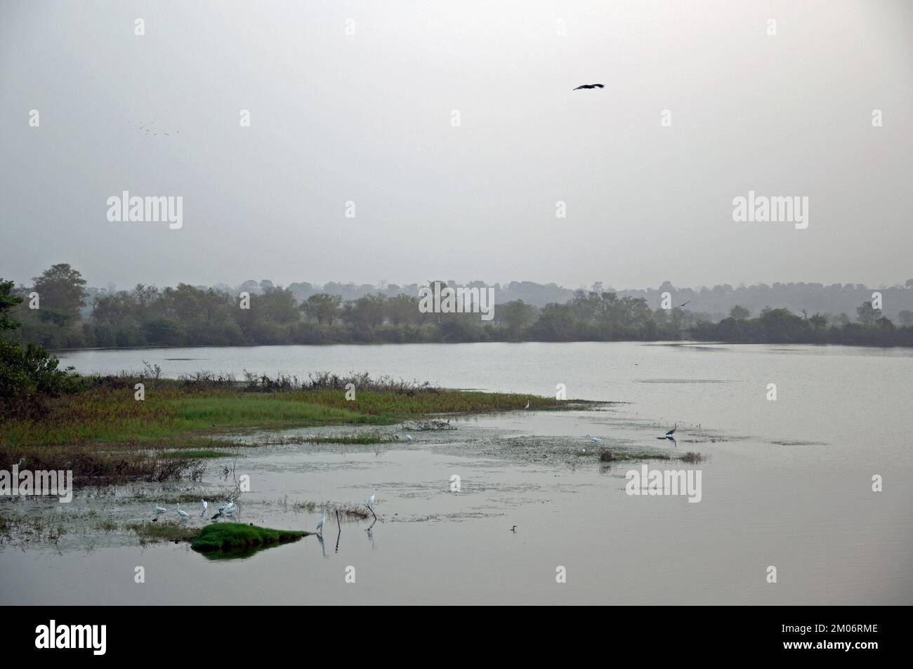 River Geba, Bafata, Bafata Region, Guinea Bissau. Large river, very ...