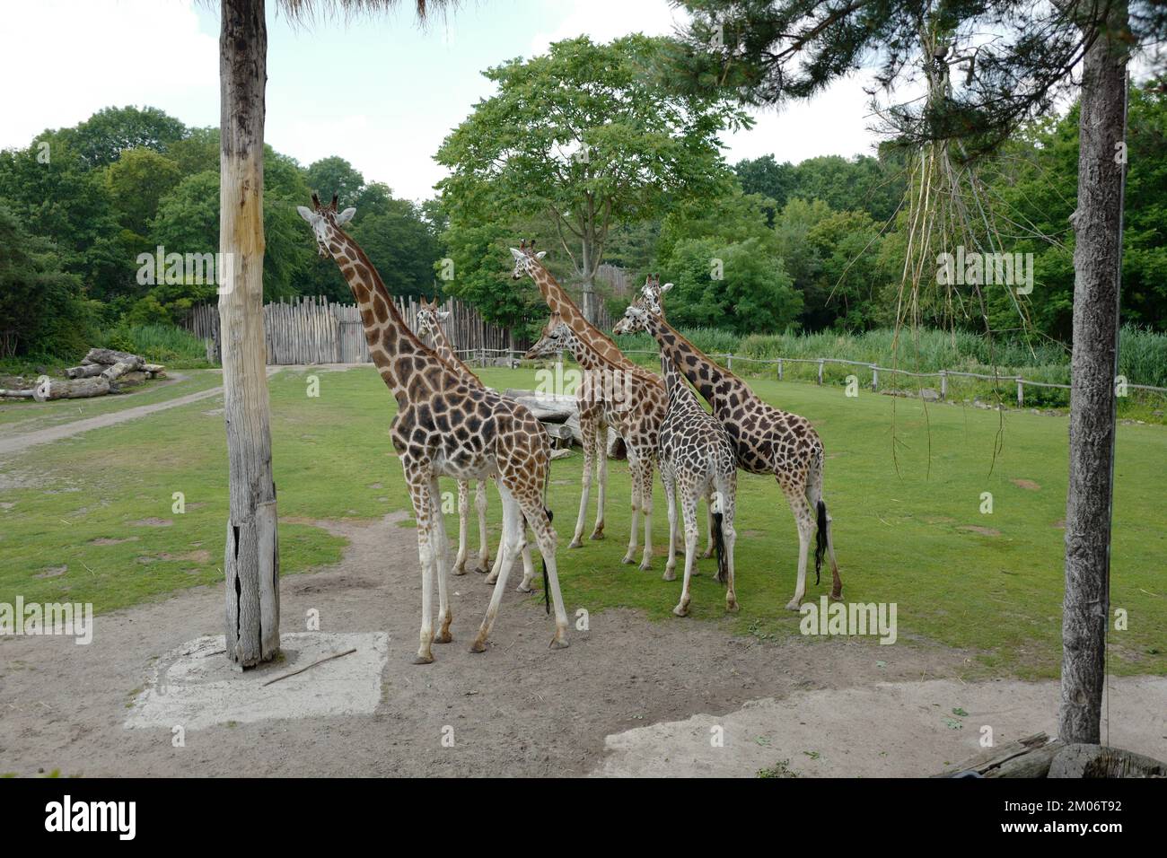 Zoo leipzig hi-res stock photography and images - Alamy