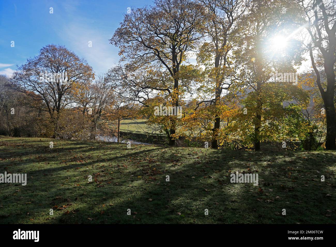 Brecon scenes. Wintery evening with sun through trees. River Usk ...