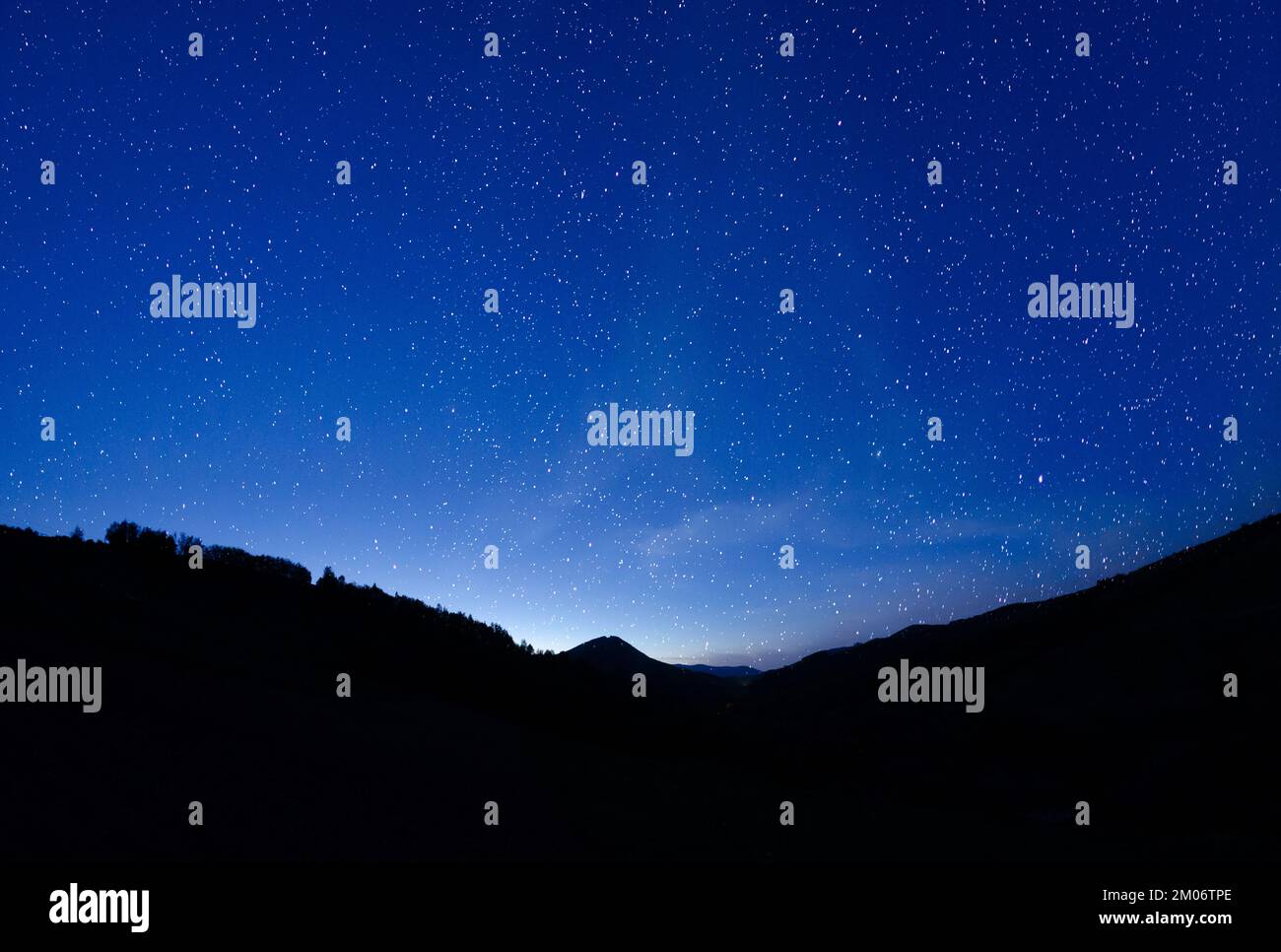 Night skyNight sky against the tops of spruce trees in the forest Stock ...