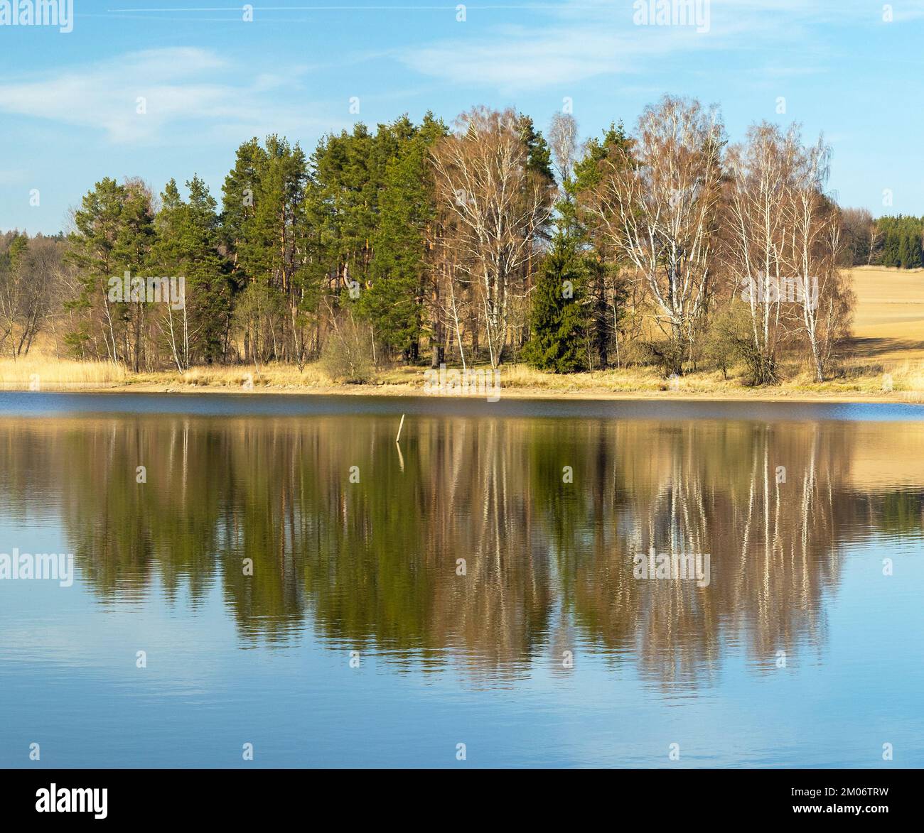 autumn view of pond with reflection of autumn forest landscape, Divka ...
