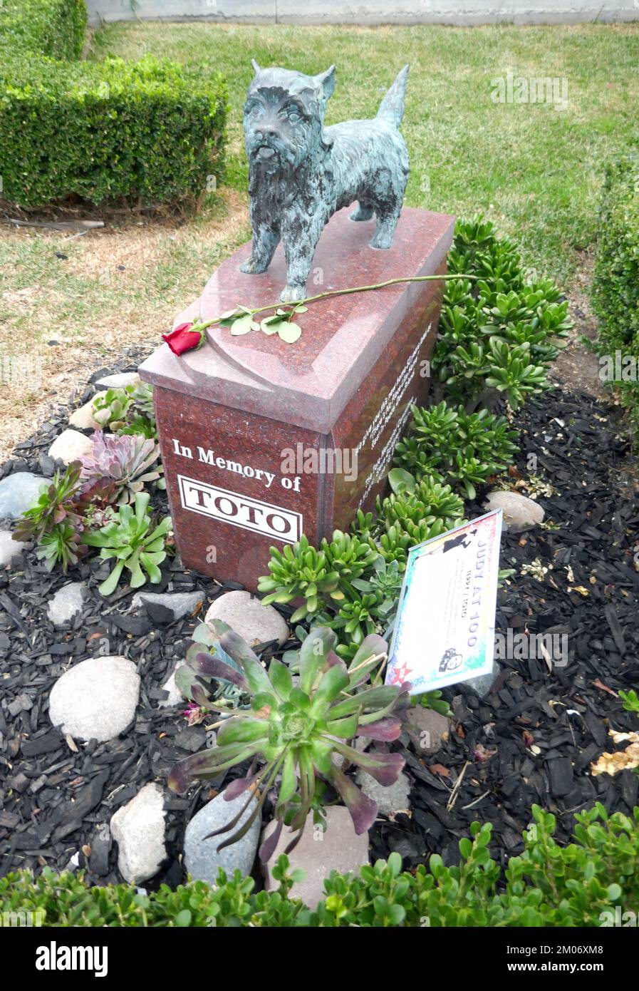 Los Angeles, California, USA 2nd December 2022 The Wizard of Oz's Toto ...