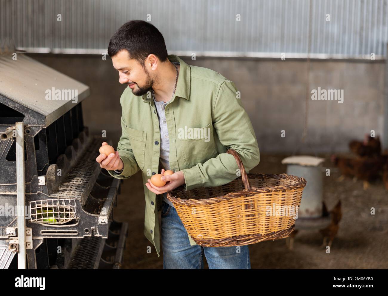 Farmer gathering fresh eggs inside hen house Stock Photo - Alamy