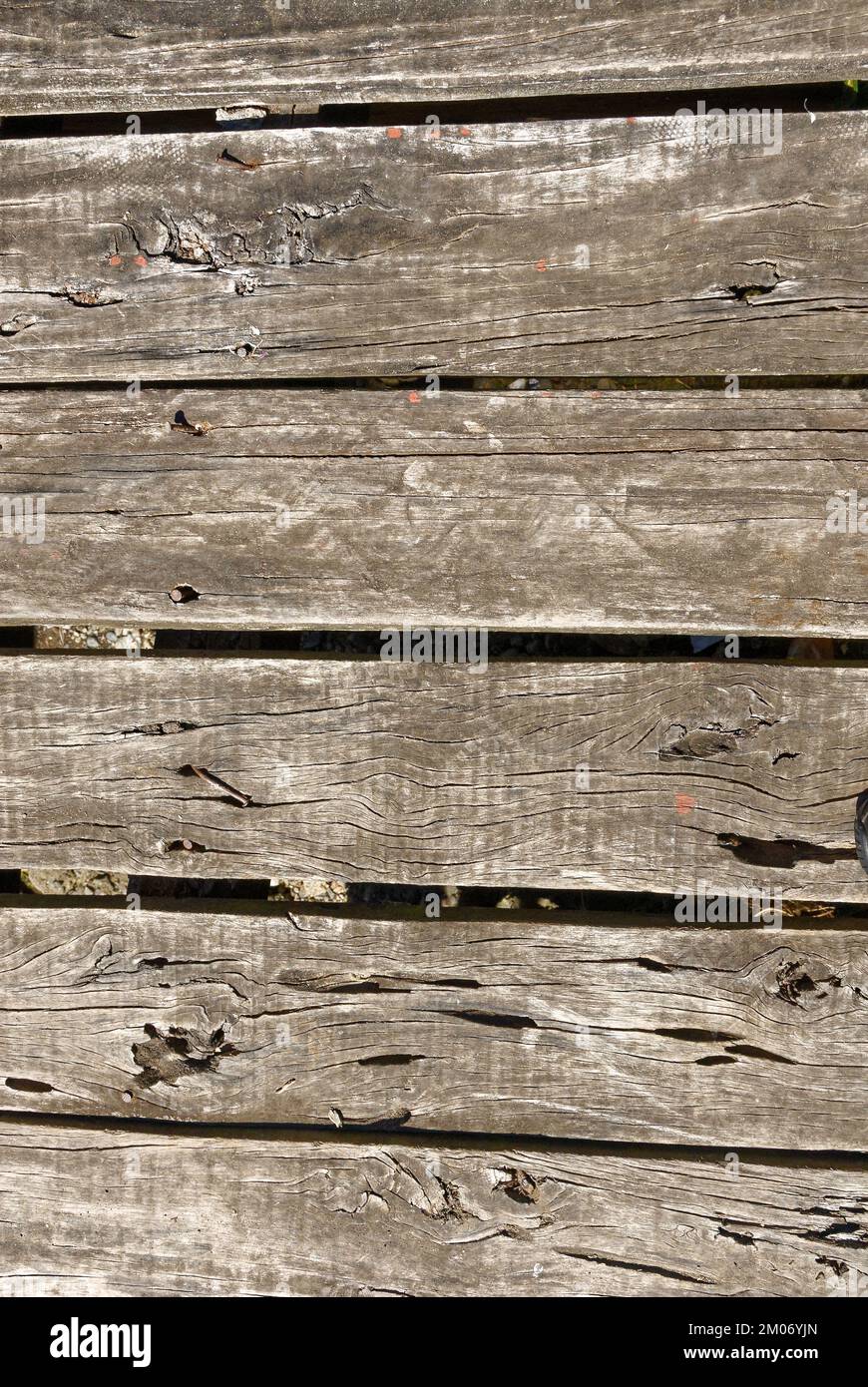 Seamless Rustic Wood Texture