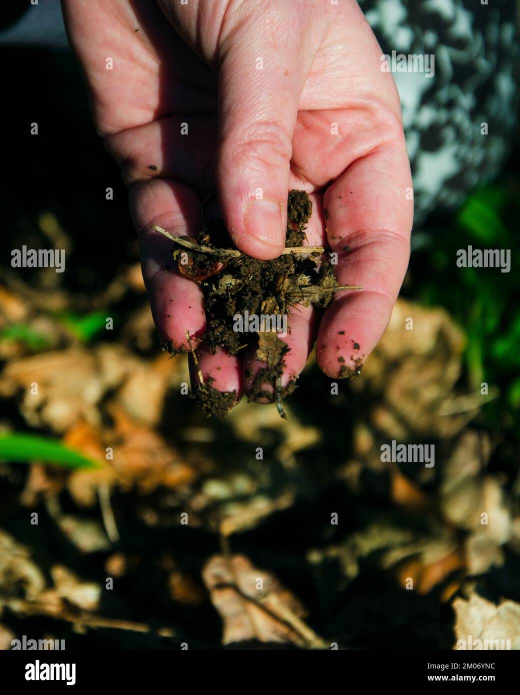 A hand Holding Dirt Stock Photo - Alamy