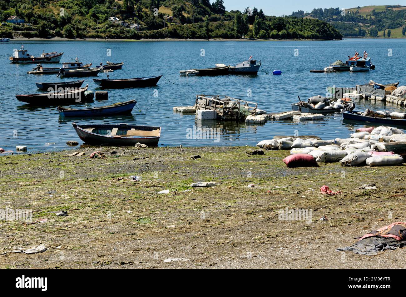 Fishing Boats in Golfo de Ancud - Castro Bay, Chilo Island in Chile's ...