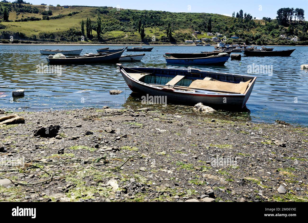 Fishing Boats in Golfo de Ancud - Castro Bay, Chilo Island in Chile's ...