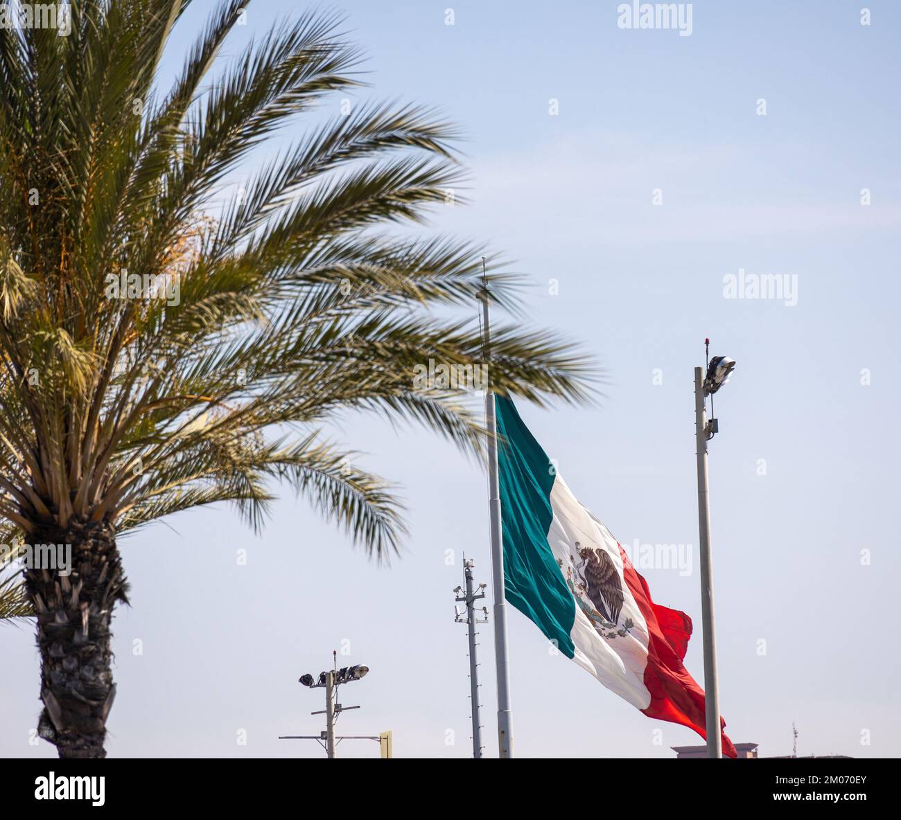 Mexican flag with a trees and sky Stock Photo - Alamy