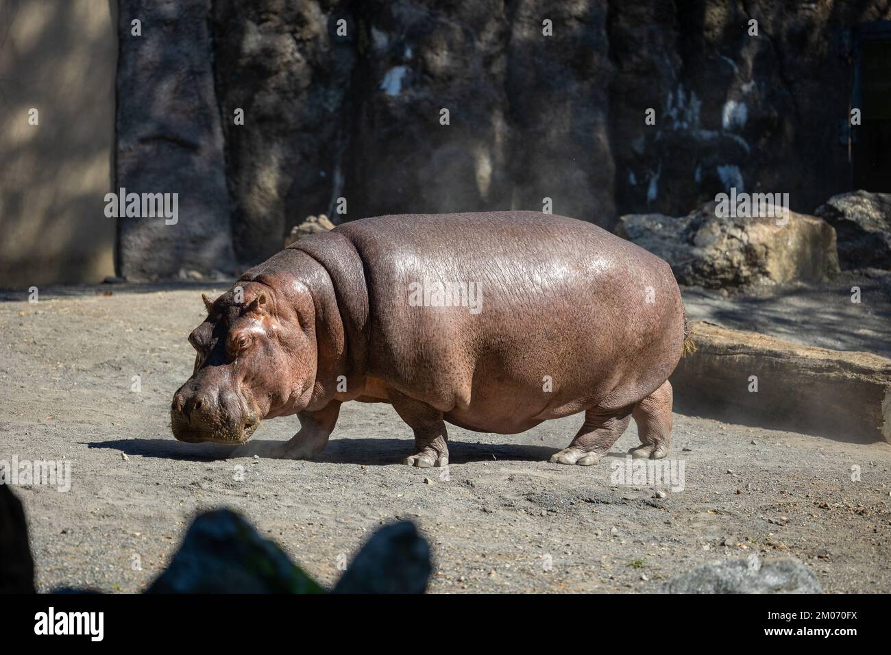 Food salvage hi-res stock photography and images - Alamy