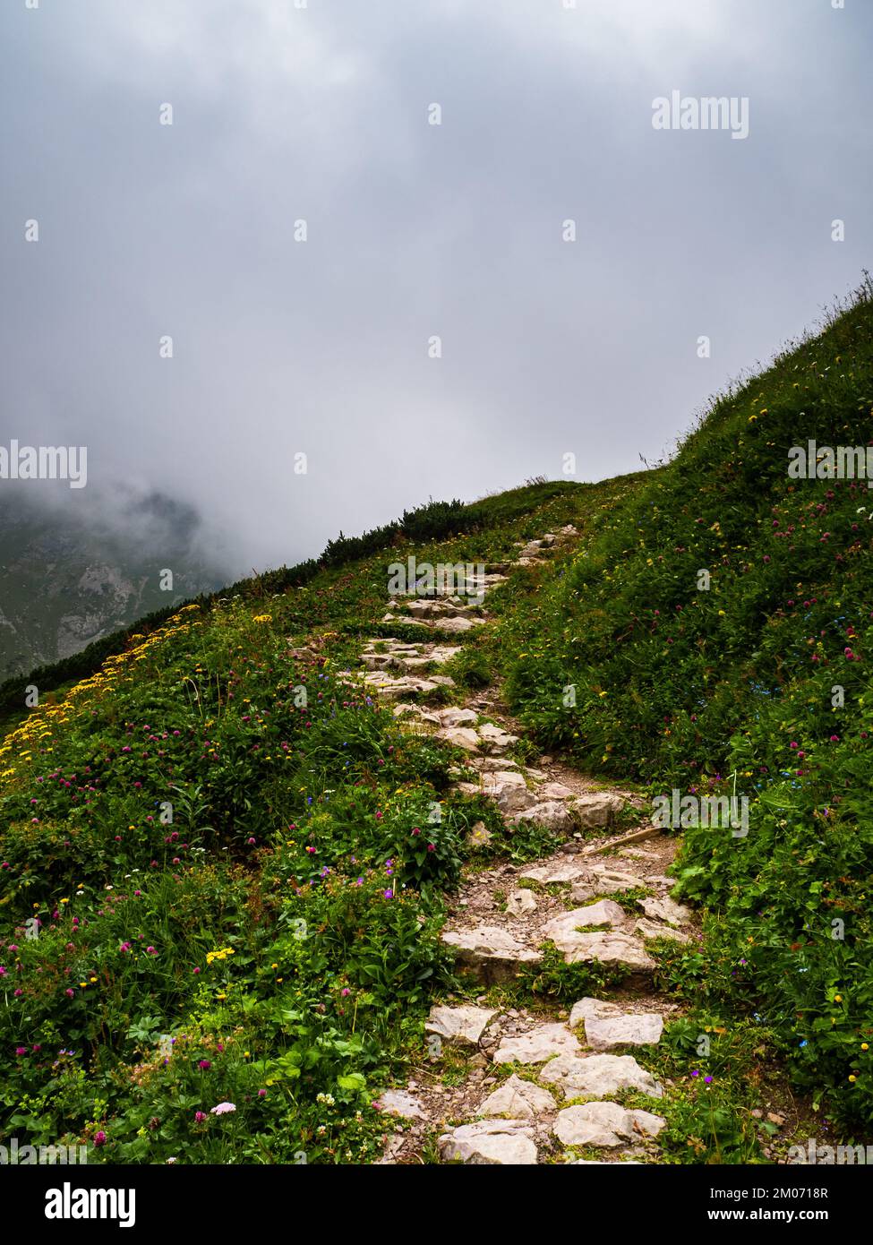 Wavy S-curve mountain path through flowery landscape in the mountains ...