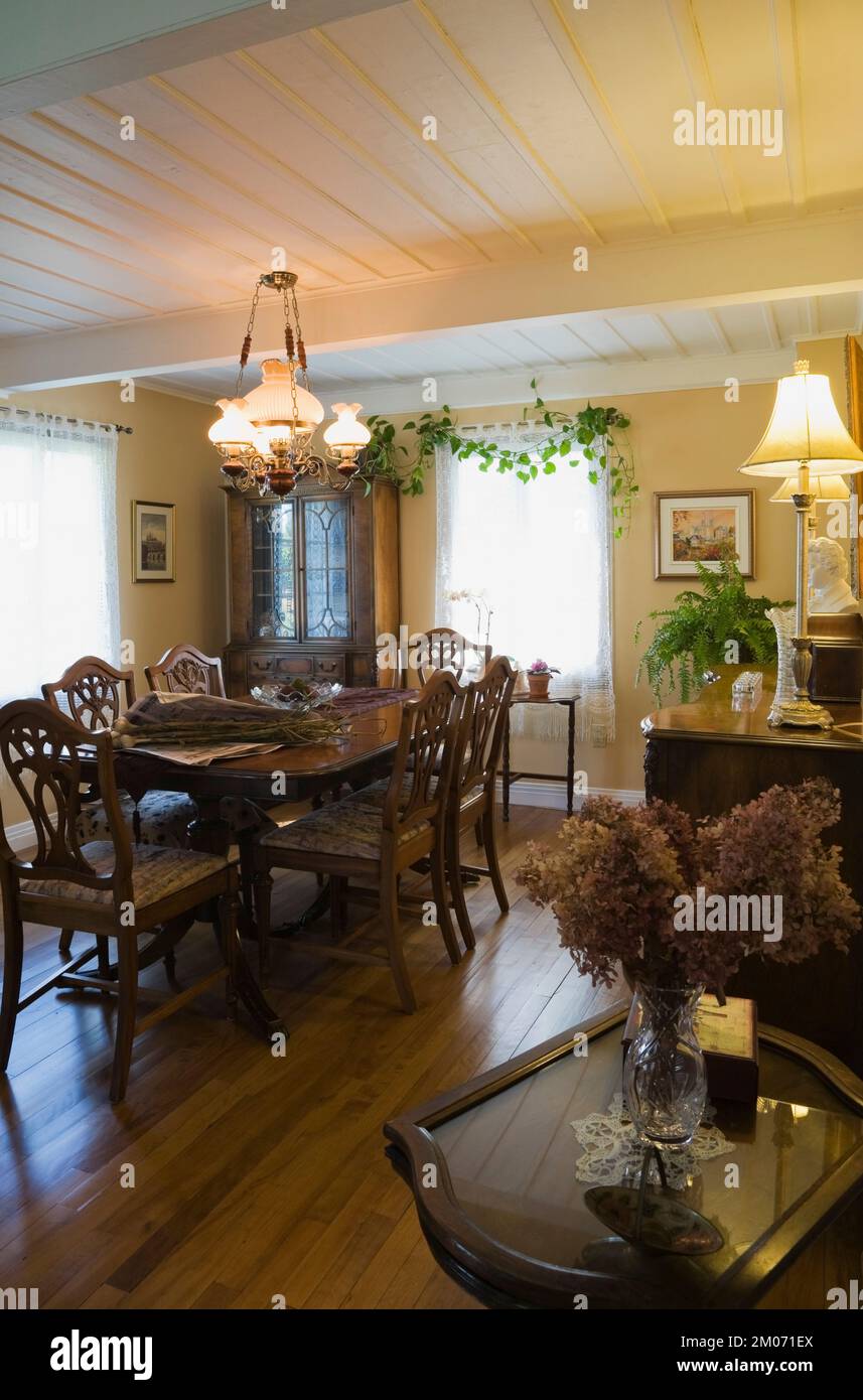 Harvested garlic bulbs on antique dining table with high back chairs in ...