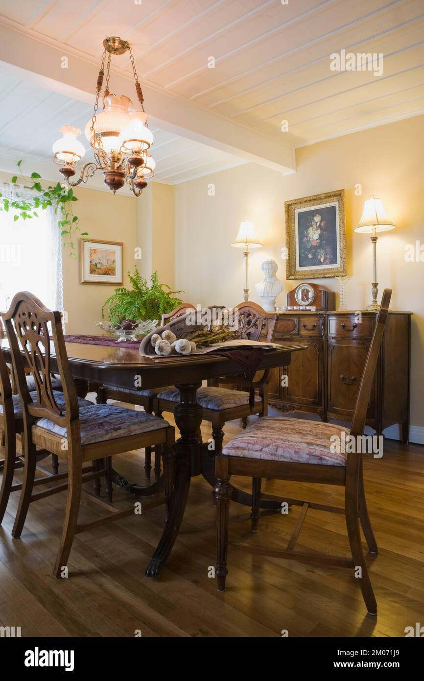 Harvested garlic bulbs on antique dining table with high back chairs in ...