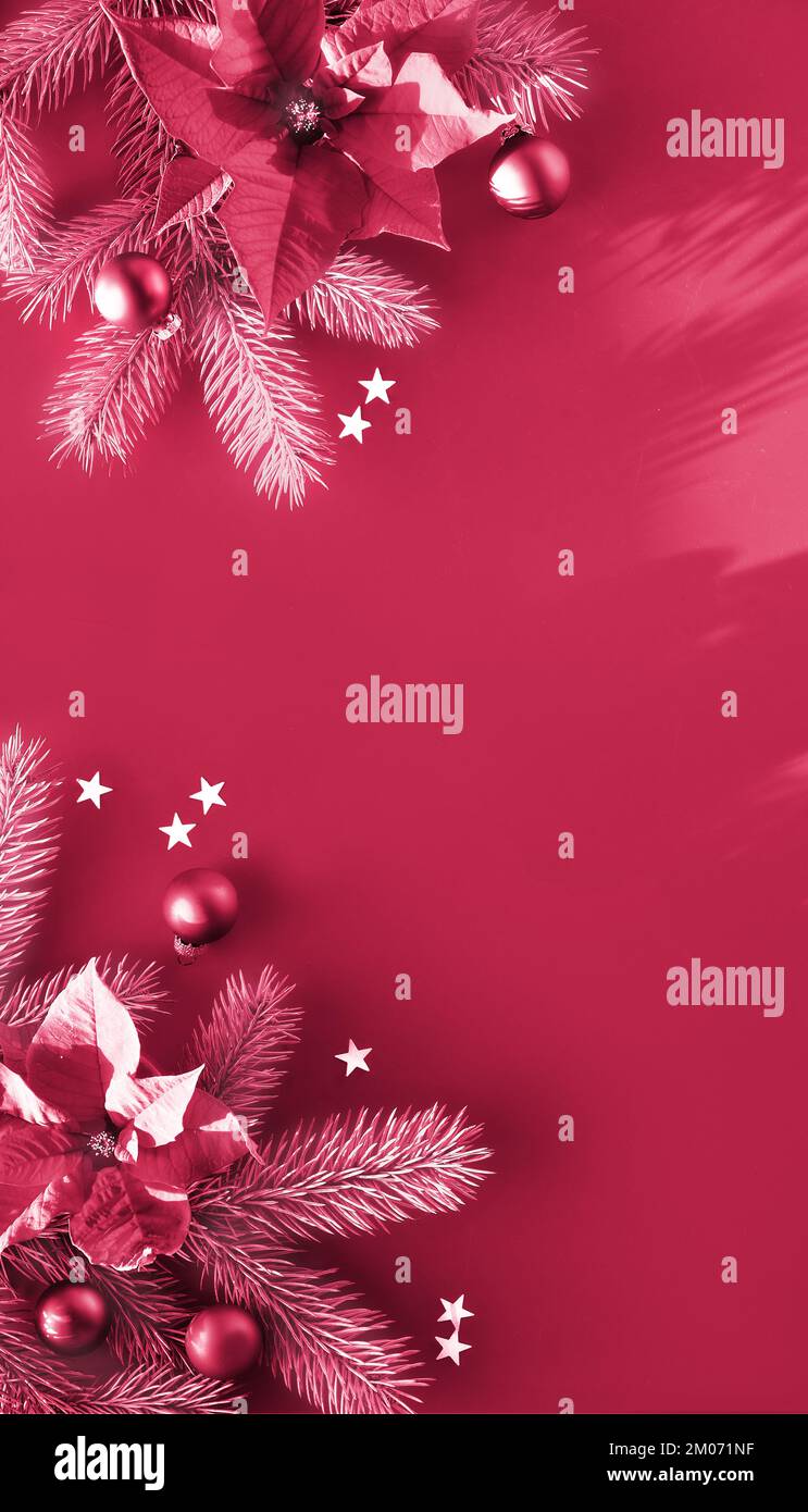 Viva Magenta color of the year 2023. Christmas banner, background for ...