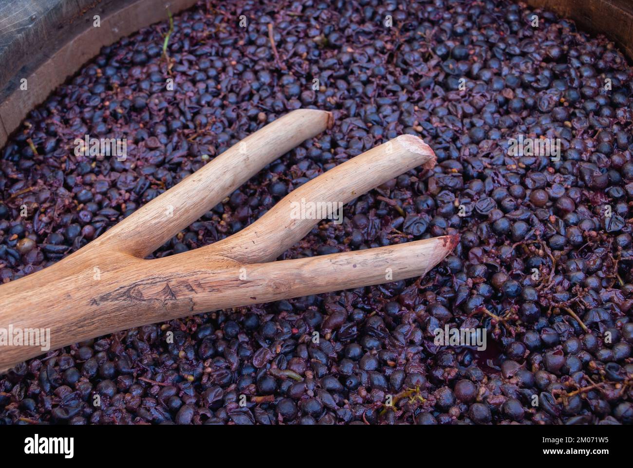 The wooden tool for mixing the wine in the barrel during the ...
