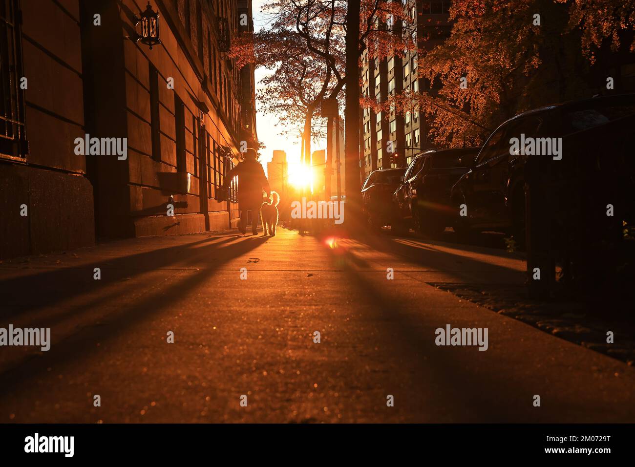 The sidewalks on the east side of Manhattan light up at sunrise in New ...