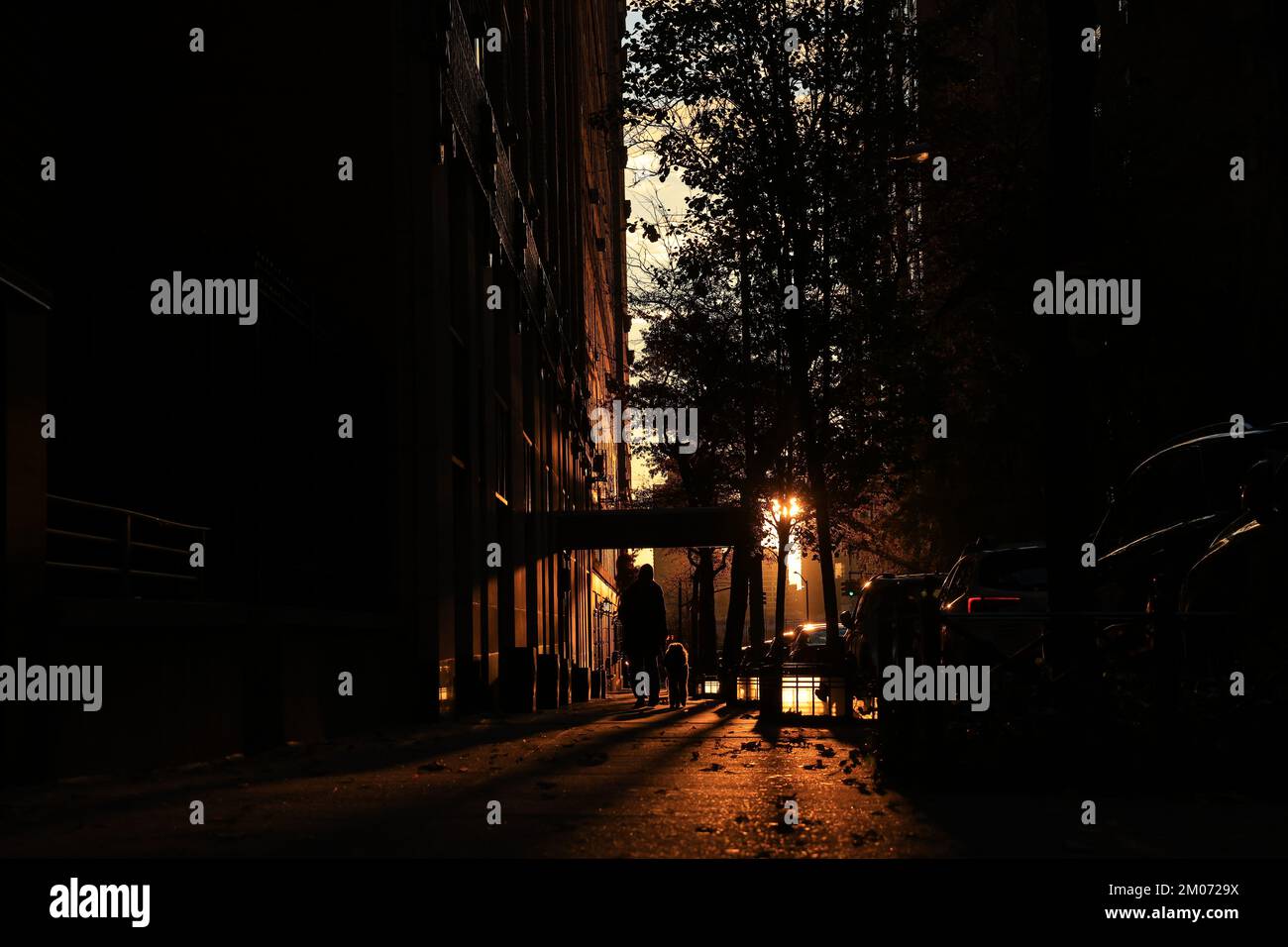 The sidewalks on the east side of Manhattan light up at sunrise in New ...