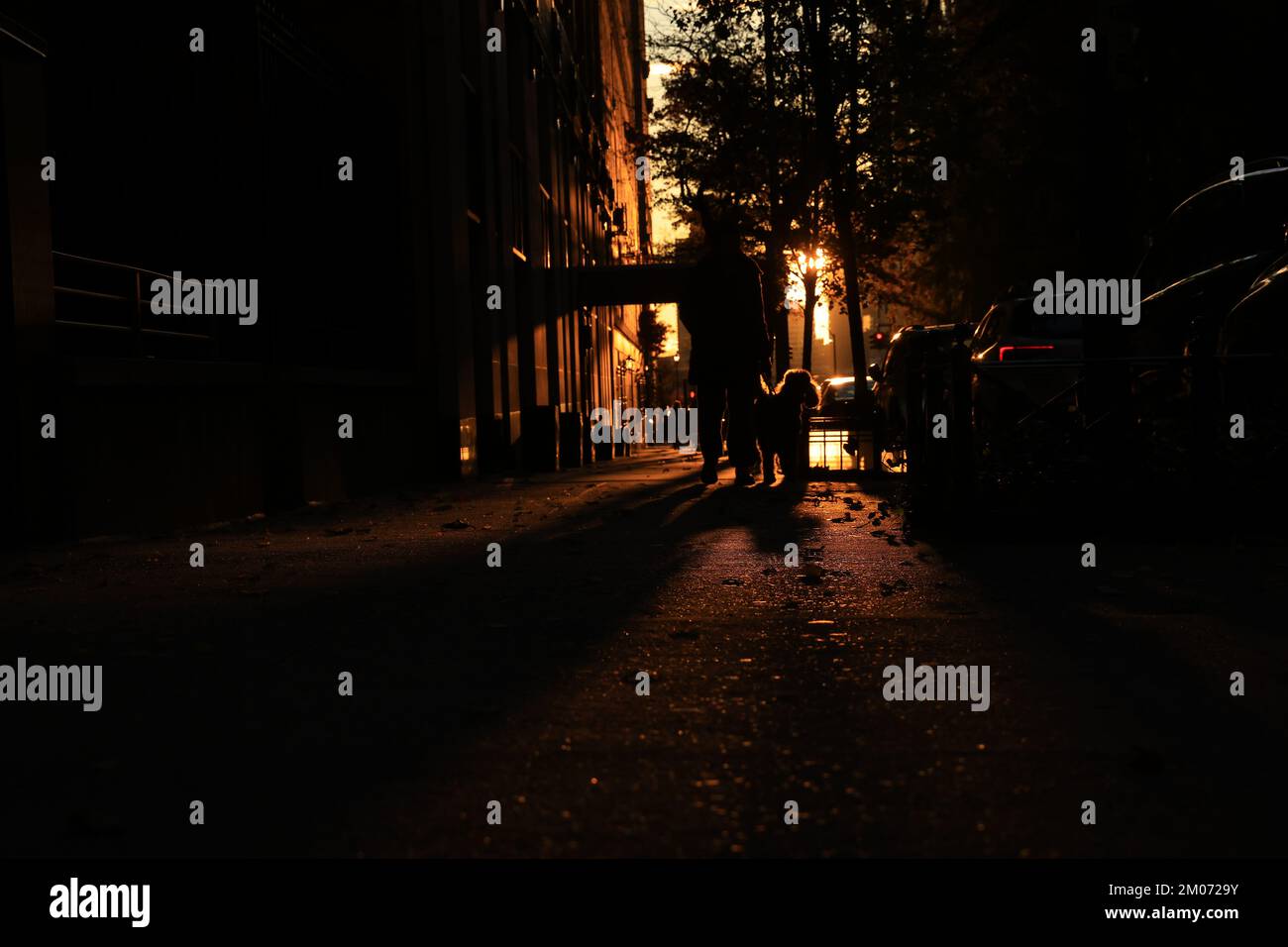 The sidewalks on the east side of Manhattan light up at sunrise in New ...