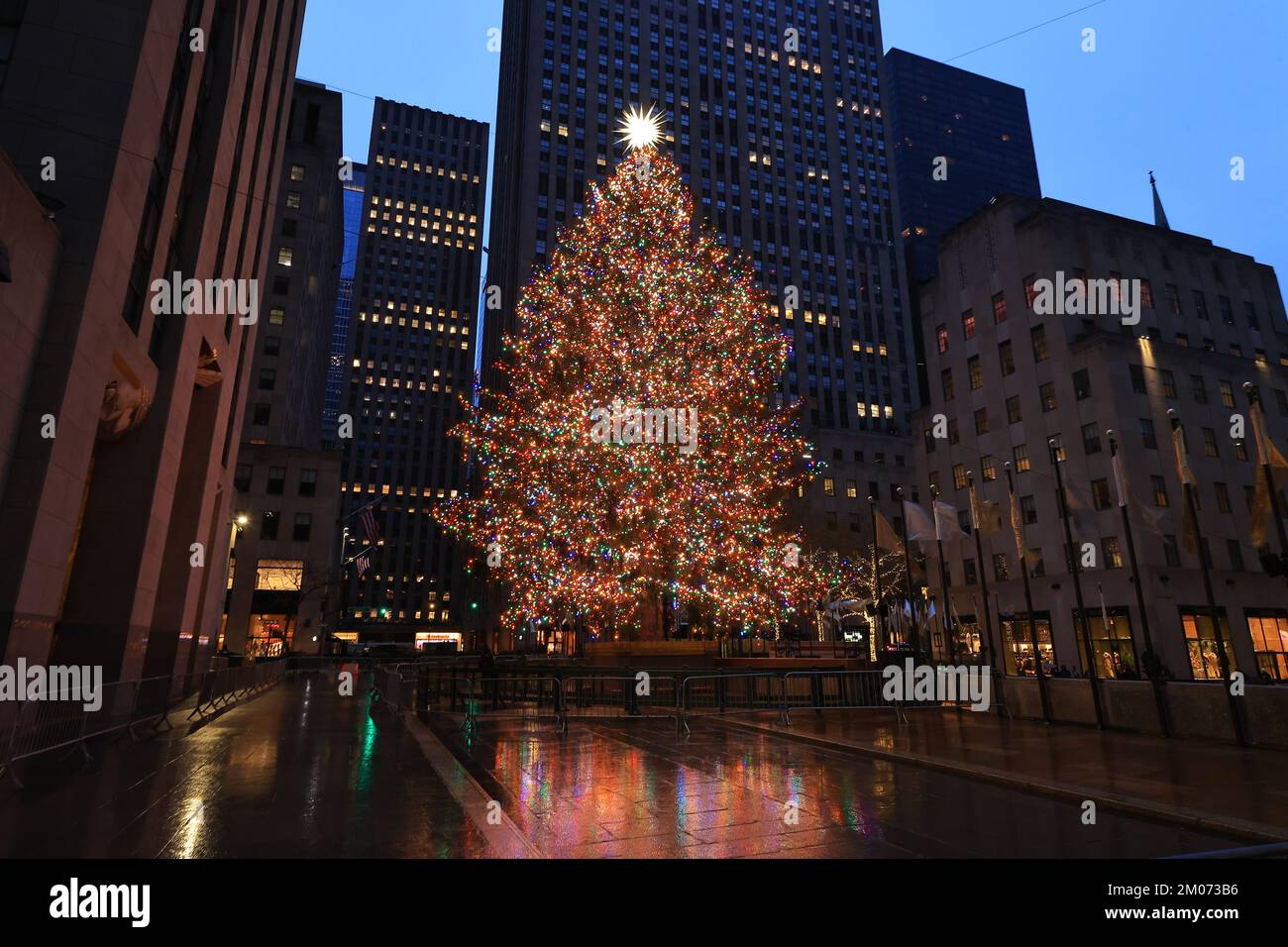 The Rockefeller Center Christmas Tree shines brightly as crowds gather ...