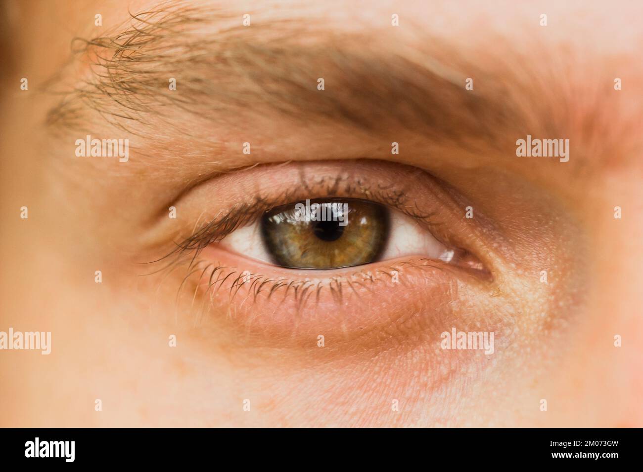 male eye close up. man looks into the frame. brown iris in macro Stock ...