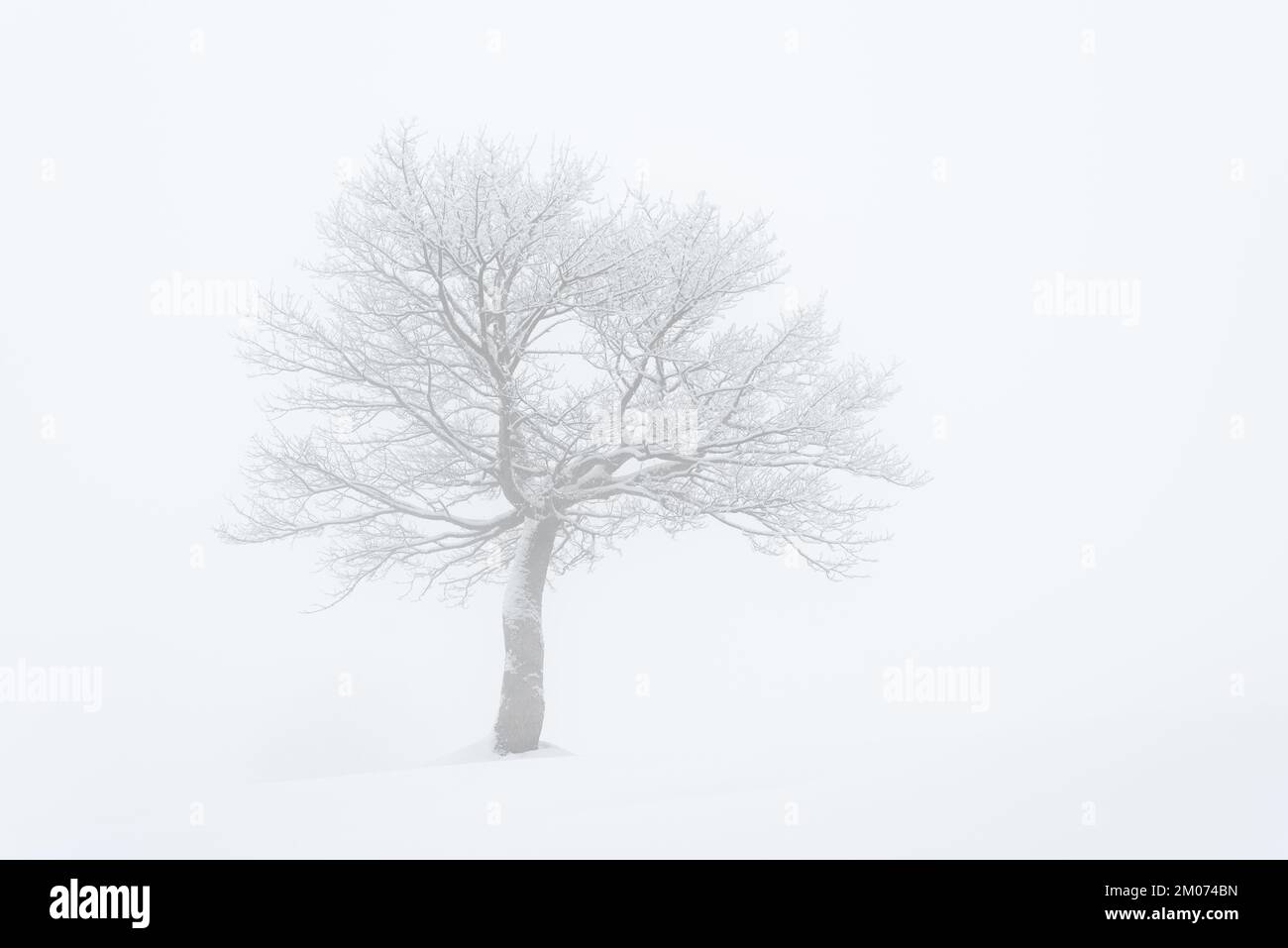 Fog landscape no one has mist hi-res stock photography and images - Alamy