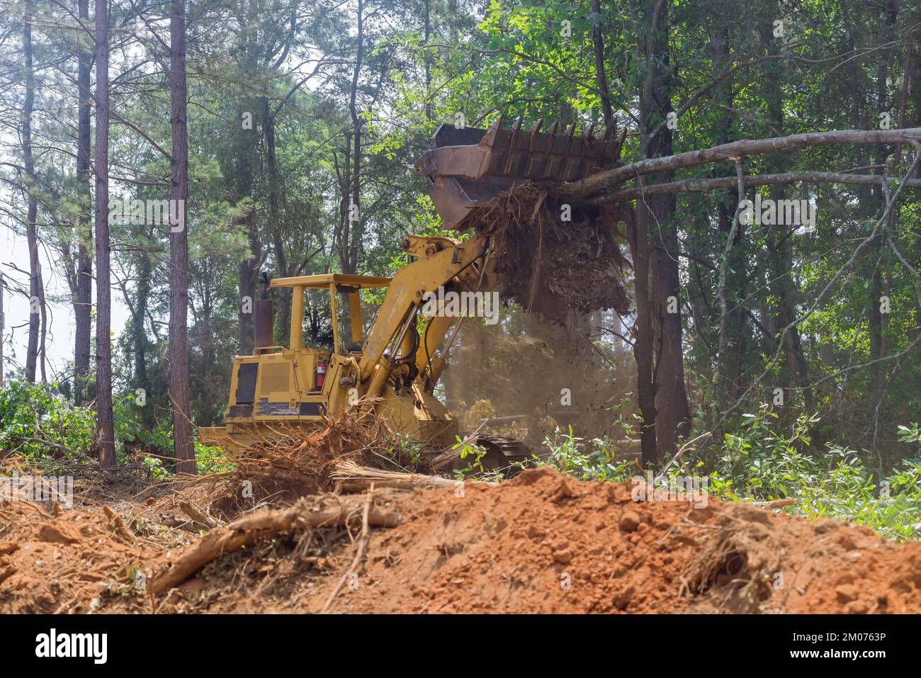 Preparation land in tractor work with during deforestation landscaping ...