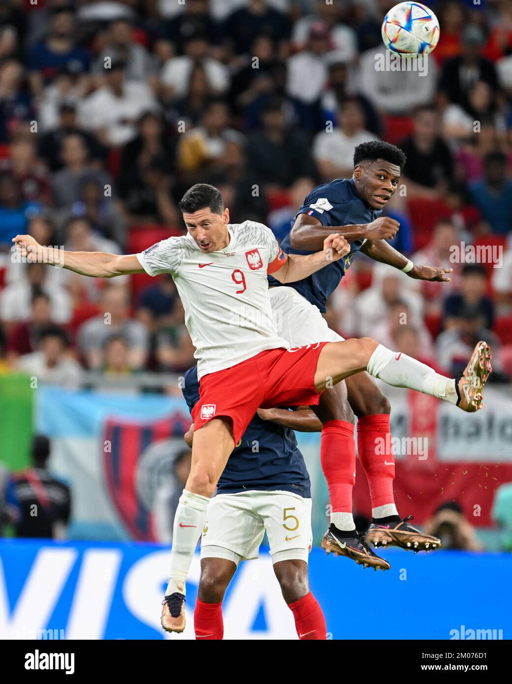 Robert Lewandowski of Poland and Aurelien TCHOUAMENI of France during ...