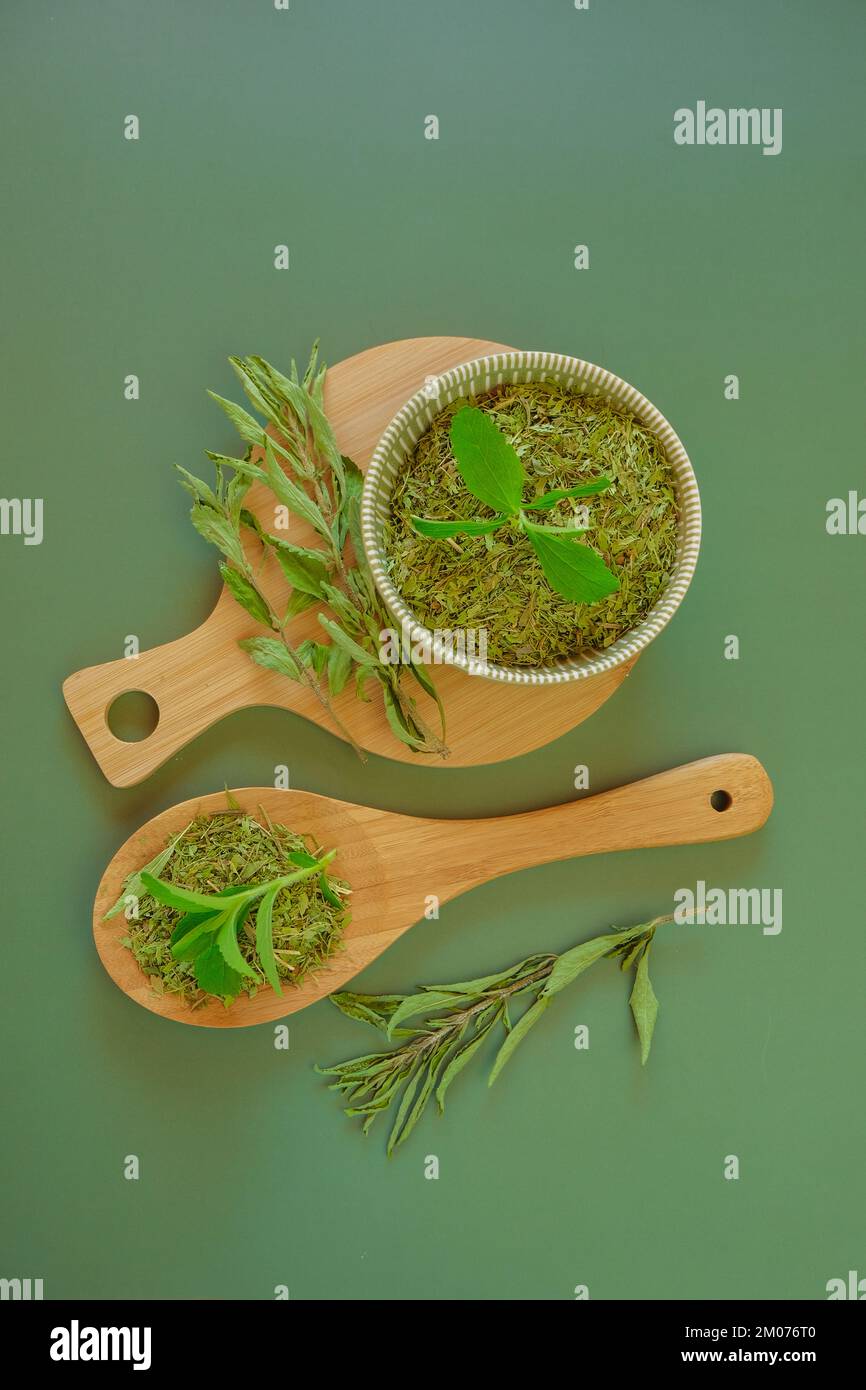 Stevia plant.Alternative Low Calorie Vegetable Sweetener.Dried stevia ...