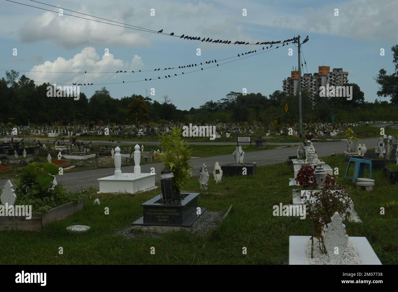 Muslim cemetery with a flock of Rock dove resting on a overhead power ...