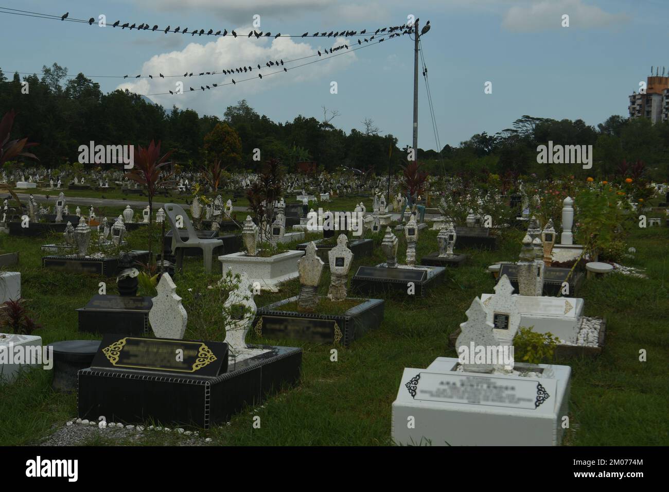 Muslim cemetery with a flock of Rock dove resting on a overhead power ...