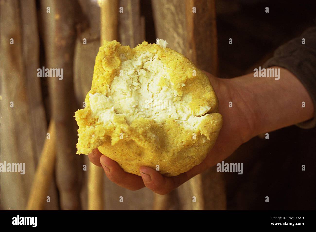 Prahova County, Romania, 1990. Shepherd making the traditional "bulz ...
