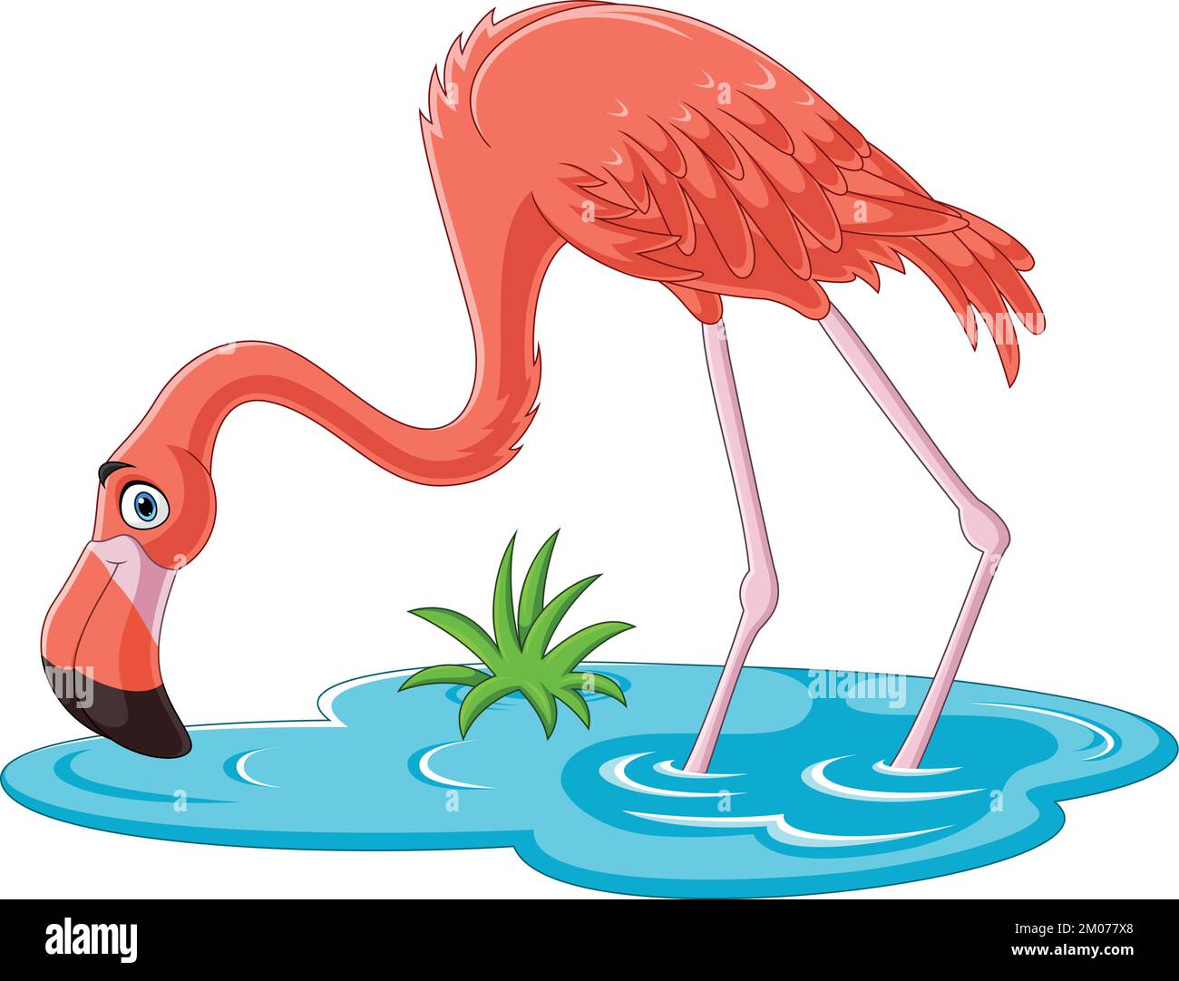 Cartoon flamingo on white background Stock Vector Image & Art - Alamy