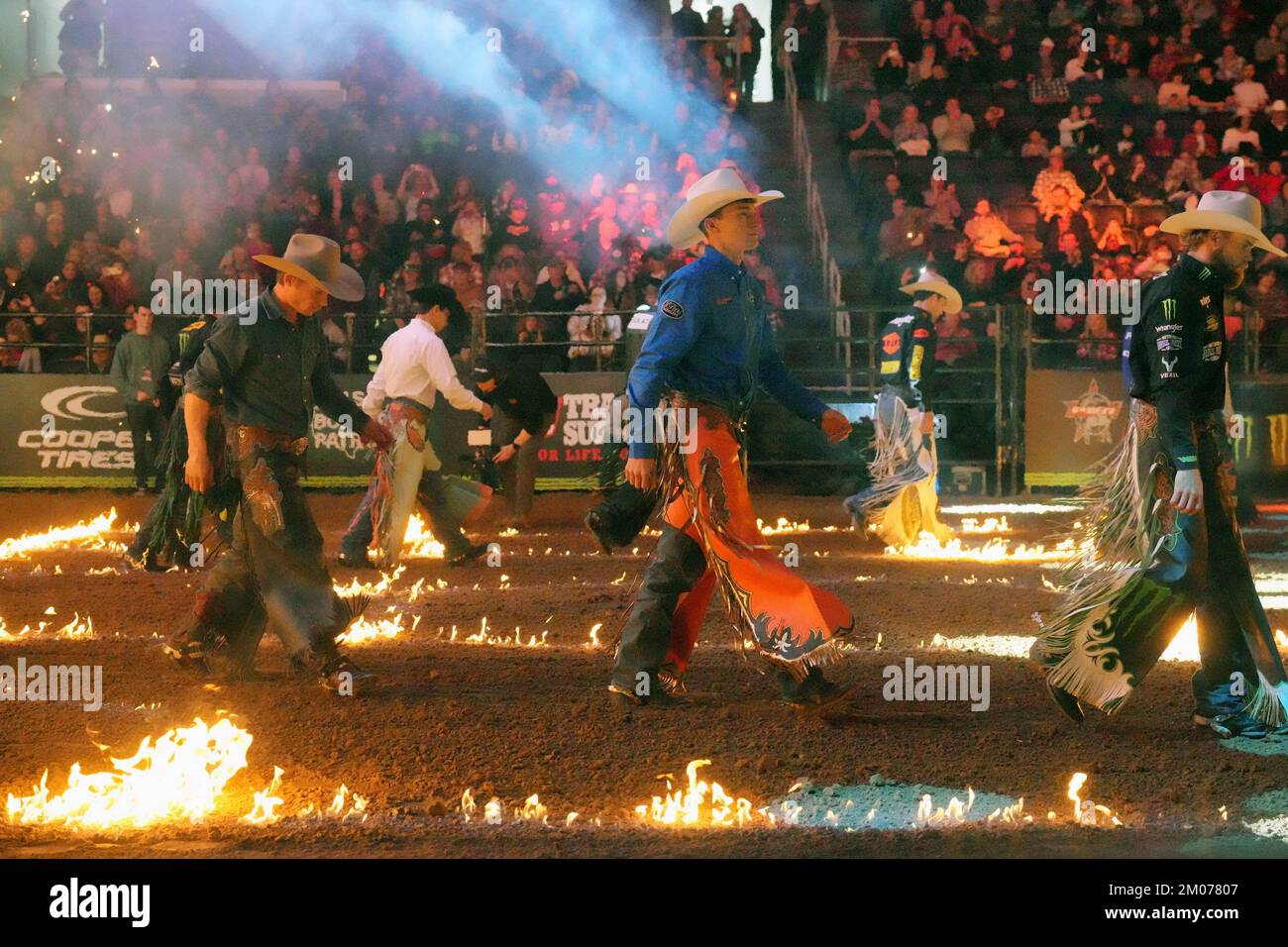 Catching Fire Arena Beast