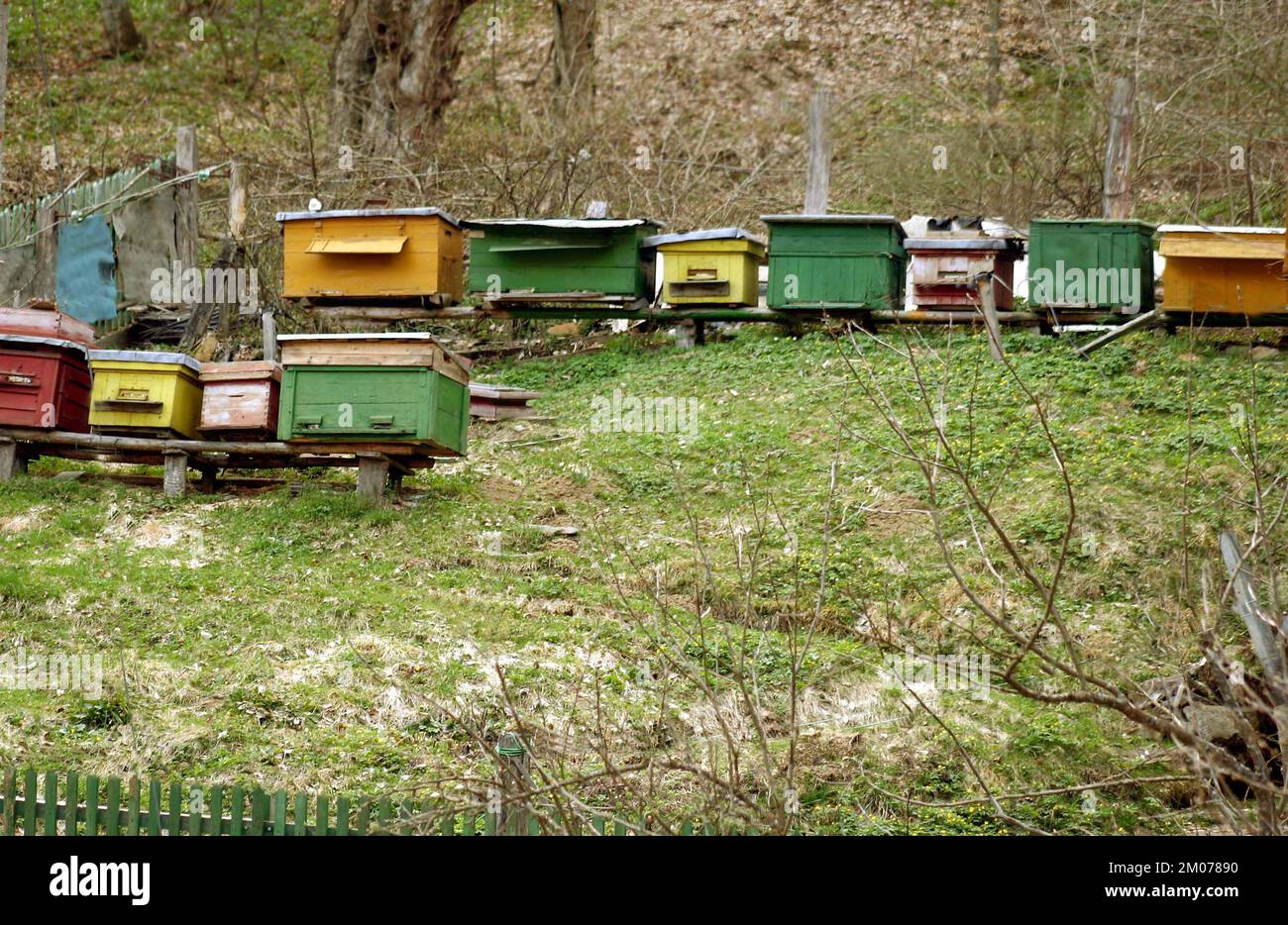 The hives 2000 hi-res stock photography and images - Alamy
