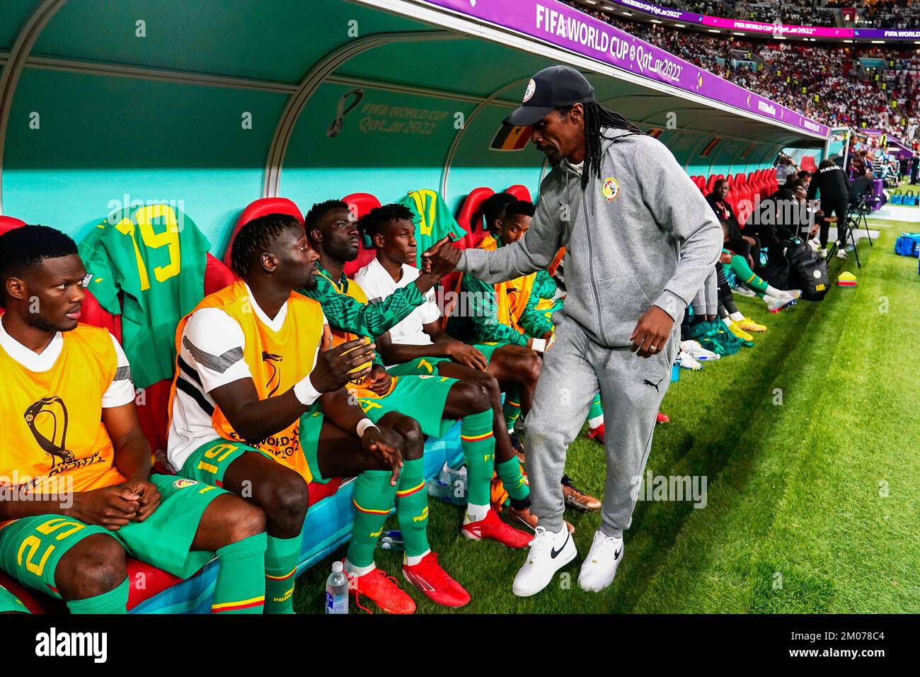 Senegal head coach Aliou Cisse during the FIFA World Cup Qatar 2022 ...