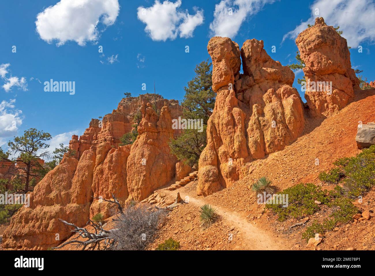 Trai lhrough the Red Rocks in the Red Canyon Wilderness in Utah Stock ...