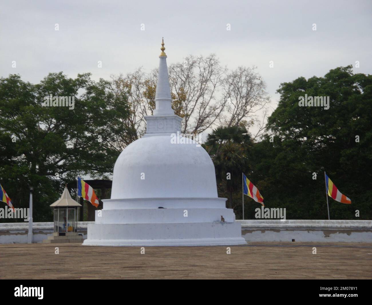The Ruwanweli Maha Seya, also known as the Mahathupa, is a stupa in ...