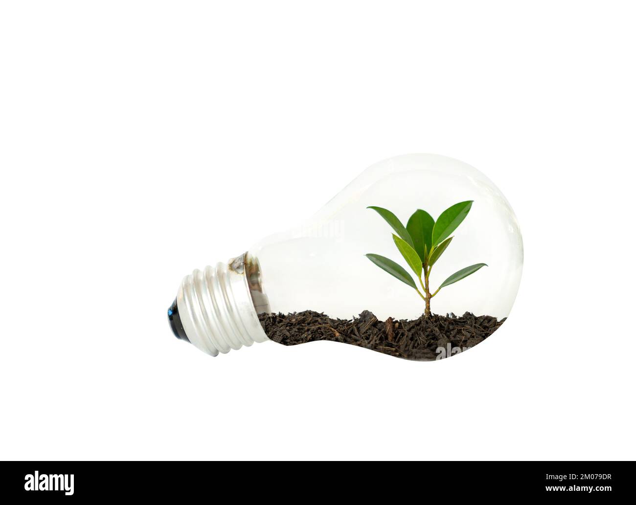 Light bulb with growing tree. Ecological friendly and sustainable ...