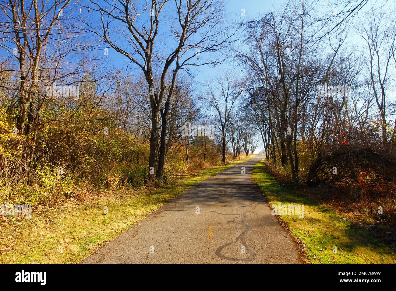 Walnut Woods Metro Park, Groveport, Ohio Stock Photo - Alamy