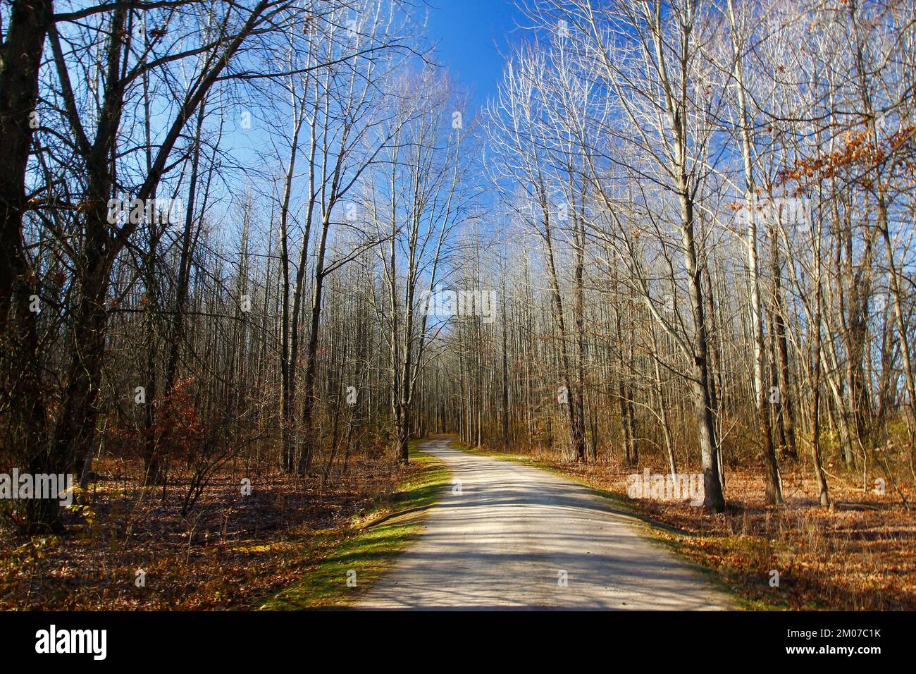 Walnut tree hike hi-res stock photography and images - Alamy