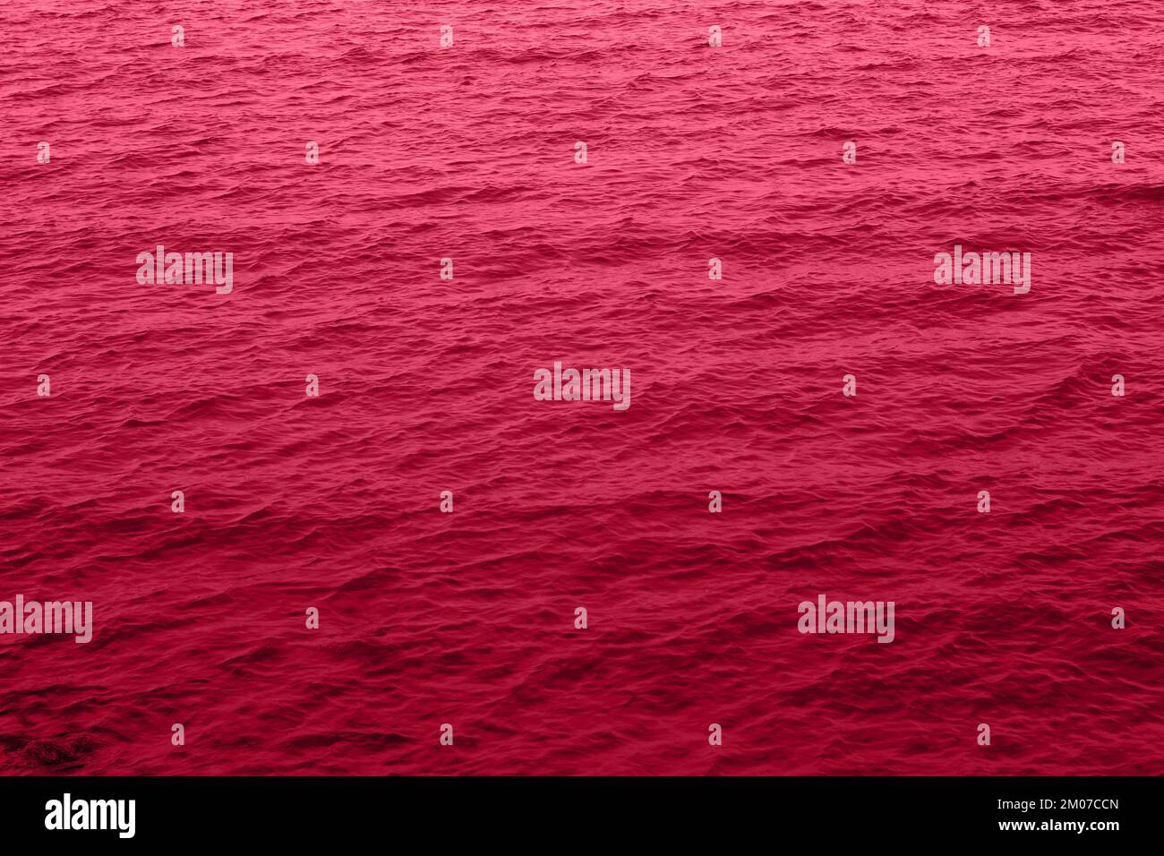 Viva Magenta toned sea water texture. Pool water with sun reflections ...
