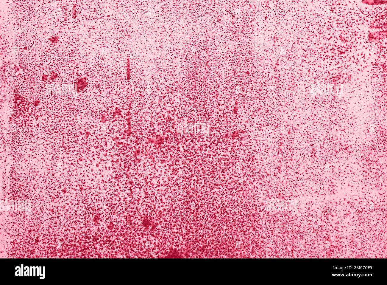 Viva Magenta wall with dirty scratches and metal stains. Metal rust ...
