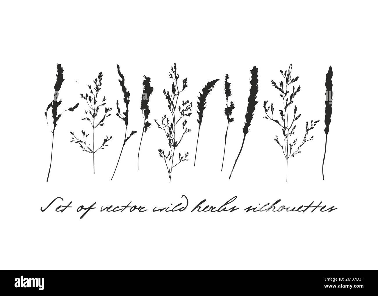 Garden Weeds Drawing Easy