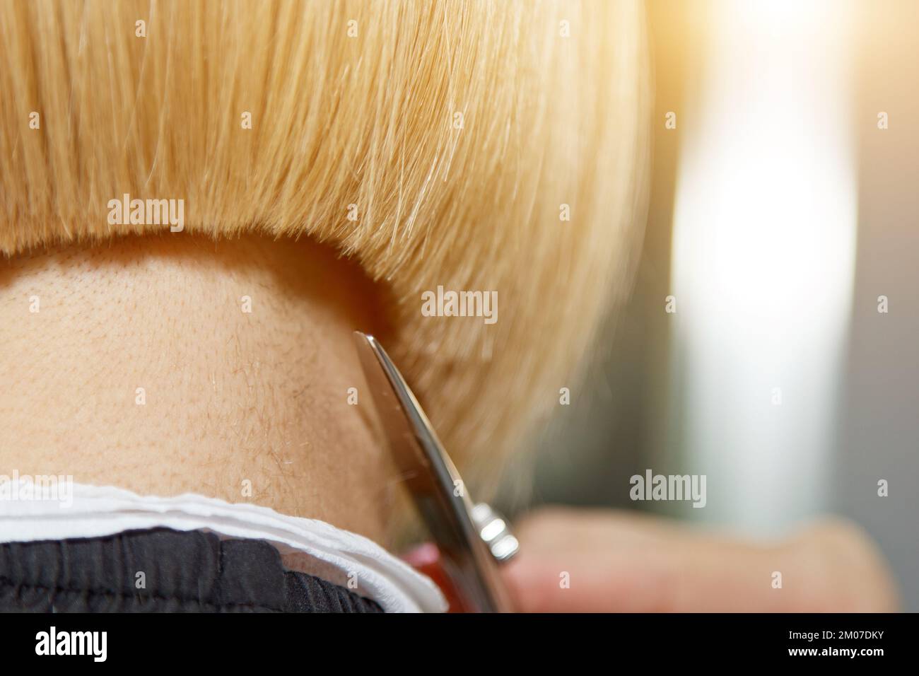 Closeup of a hairdresser cuts wet white hair of a client in a salon ...