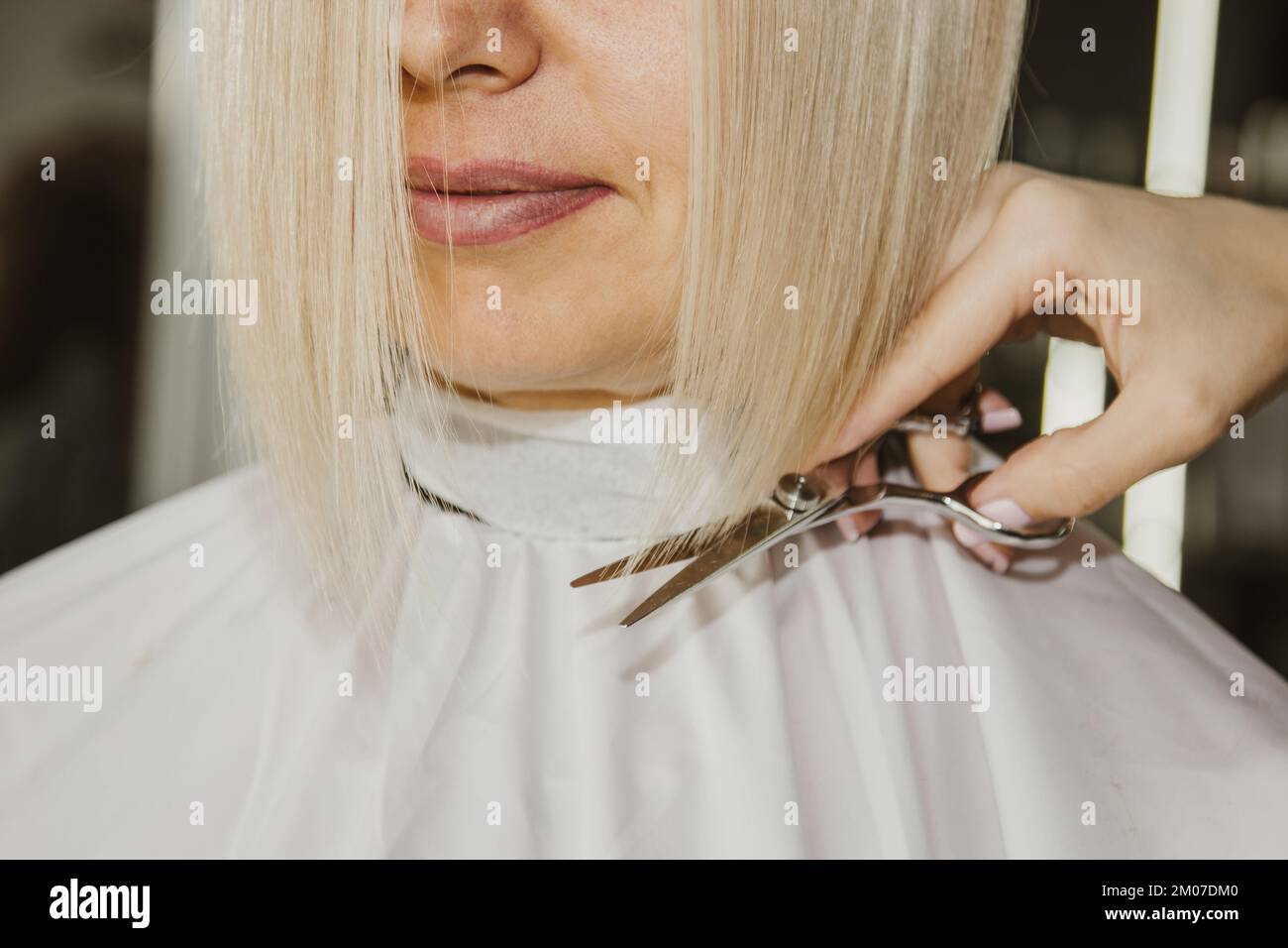 Closeup of a hairdresser cuts wet white hair of a client in a salon ...