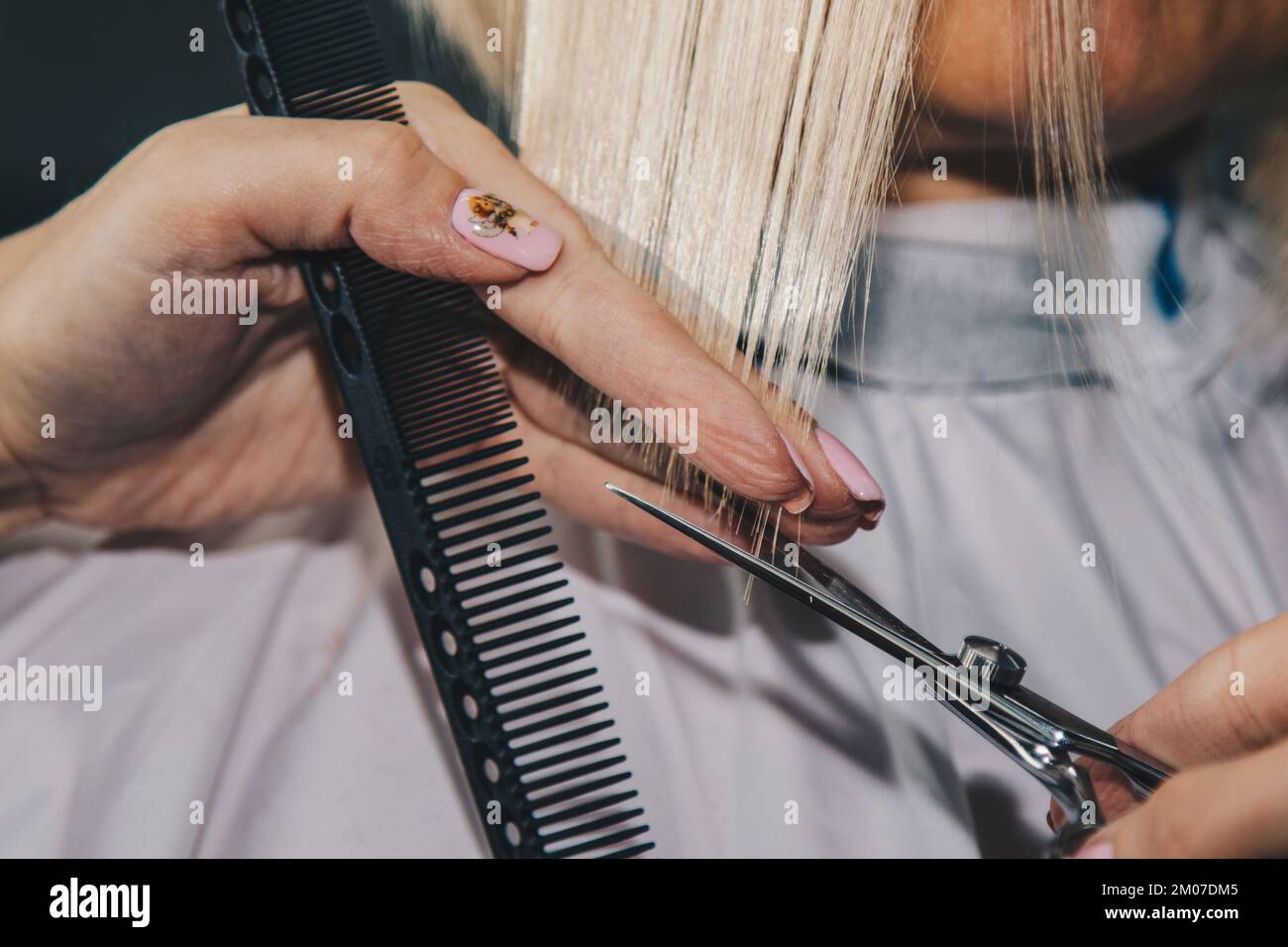 Closeup of a hairdresser cuts wet white hair of a client in a salon ...